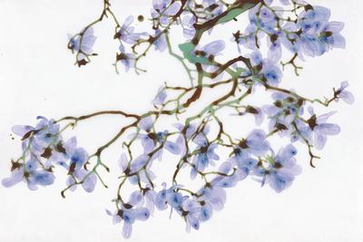 'Pale Azure' Giclee Print - Jackie Battenfield | AllPosters.com