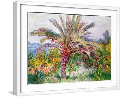 'Palm Tree at Bordighera, C.1884' Giclee Print - Claude Monet ...