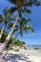 'Palm Trees and Lamai Beach, Koh Samui, Thailand, Southeast Asia, Asia ...