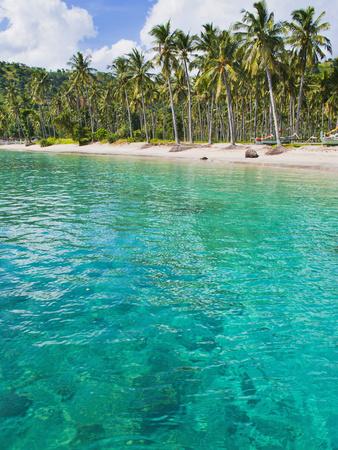 'Palm Trees and Turquoise Water, Nippah Beach, Lombok, West Nusa ...