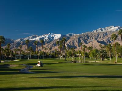 'Palm Trees in a Golf Course, Desert Princess Country Club, Palm ...