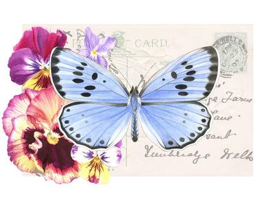 'Pansy Blue Butterfly' Art - Elizabeth Hellman | AllPosters.com