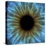 'Eye, Iris' Photographic Print - PASIEKA | AllPosters.com