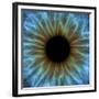 'Eye, Iris' Photographic Print - PASIEKA | AllPosters.com
