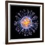 'Swine Flu Virus Particle, Artwork' Photographic Print - PASIEKA ...