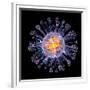 'Swine Flu Virus Particle, Artwork' Photographic Print - PASIEKA ...