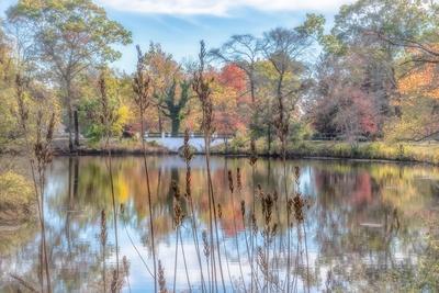 'Bayshore' Prints - Pat DeLuca | AllPosters.com