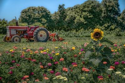 'James Port' Prints - Pat DeLuca | AllPosters.com