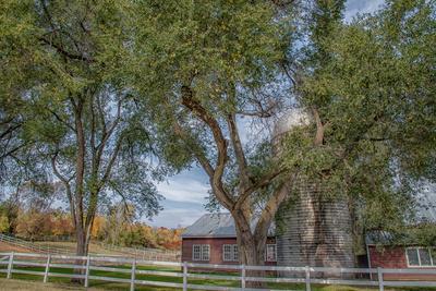 'Perpetual Question' Prints - Pat DeLuca | AllPosters.com