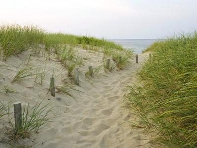 'Path at Head of the Meadow Beach, Cape Cod National Seashore ...