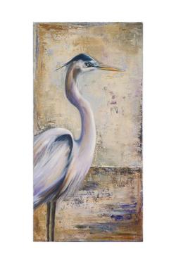 Patricia Pinto Posters, Prints, Paintings & Wall Art | AllPosters.com