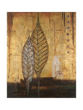 Patricia Pinto Posters, Prints, Paintings & Wall Art | AllPosters.com