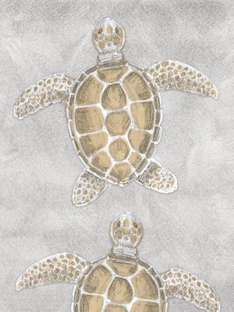 Drawing Turtles Grey Prints - Patti Bishop | AllPosters.com