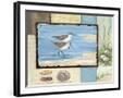 'Sandpiper Collage I' Prints - Paul Brent | AllPosters.com
