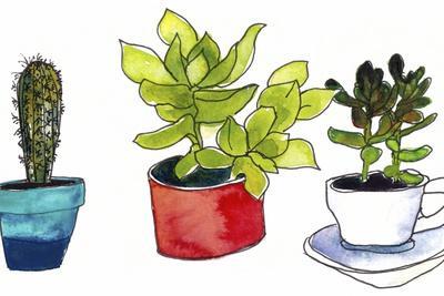Vibing Succulents II Art - Paul McCreery | AllPosters.com