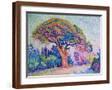 'The Pine Tree at St. Tropez, 1909' Giclee Print - Paul Signac ...