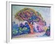 'The Pine Tree at St. Tropez, 1909' Giclee Print - Paul Signac ...