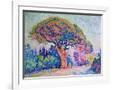 'The Pine Tree at St. Tropez, 1909' Giclee Print - Paul Signac ...