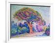 'The Pine Tree at St. Tropez, 1909' Giclee Print - Paul Signac ...