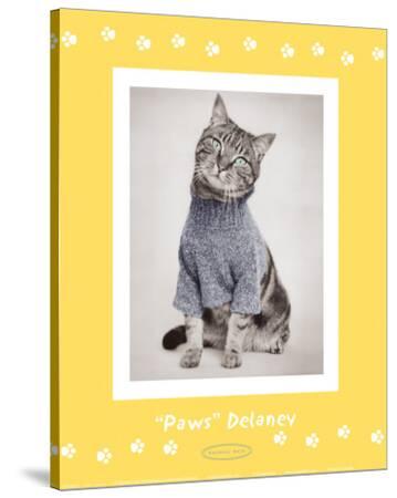 'Paws Delaney' Stretched Canvas Print - Rachael Hale | AllPosters.com