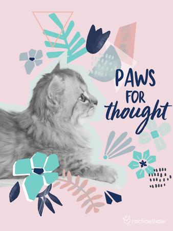 'Paws for Thought' Photo - Rachael Hale | AllPosters.com