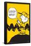 Peanuts - Good Grief Charlie Brown | AllPosters.com