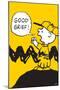 Peanuts - Good Grief Charlie Brown | AllPosters.com