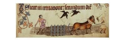 'Peasants ploughing (From the Luttrell Psalter), ca 1330' Giclee Print ...