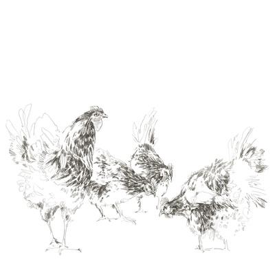 'Pecking Order' Giclee Print - Kristine Hegre | AllPosters.com
