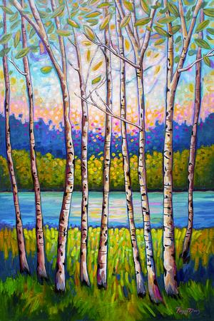 Summer Birch - Peggy Davis | AllPosters.com