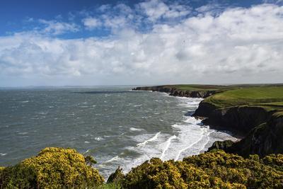 Pembrokeshire Coast National Park, seen near Marloes and St. Brides ...