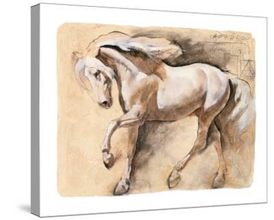 'Penelope' Stretched Canvas Print - Talantbek Chekirov | AllPosters.com
