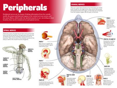 'peripherals.' Photographic Print | AllPosters.com