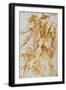 'Anatomical Studies: Nudes in Combat' Giclee Print - Peter Paul Rubens ...