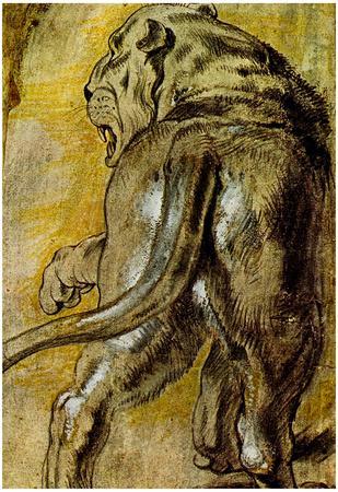'Peter Paul Rubens Lion Art Print Poster' Photo | AllPosters.com