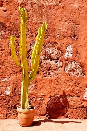 'Colors of Peru - Yellow Red Wall' Photographic Print - Philippe ...