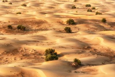 'Dubai UAE - Sunset Sand Dunes II' Photographic Print - Philippe ...