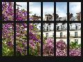 'Window View - Parisian Architecture in the Spring - Paris - Ile de ...