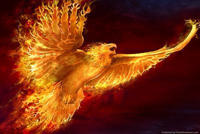 'Phoenix Rising by Tom Wood Poster' Posters - Tom Wood | AllPosters.com