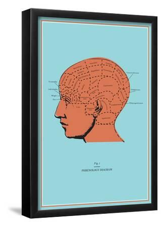 'Phrenology Chart' Prints | AllPosters.com
