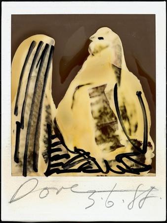'PICASSO POLAROIDS & TRAVEL TRANSPARENCIES (drawing)' Giclee Print ...
