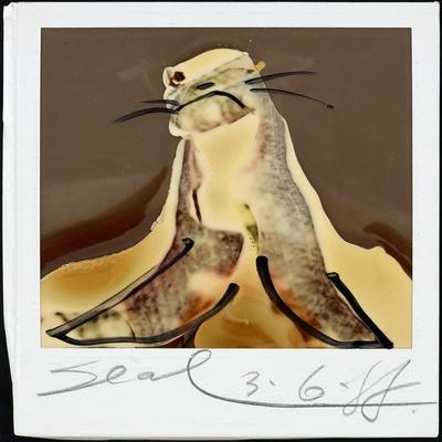 'PICASSO POLAROIDS & TRAVEL TRANSPARENCIES (drawing)' Giclee Print ...