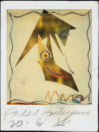 'PICASSO POLAROIDS & TRAVEL TRANSPARENCIES (drawing)' Giclee Print ...