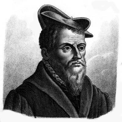 'Pierre Belon' Prints | AllPosters.com