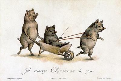 'Pigs Playing with a Wheelbarrow' Posters | AllPosters.com