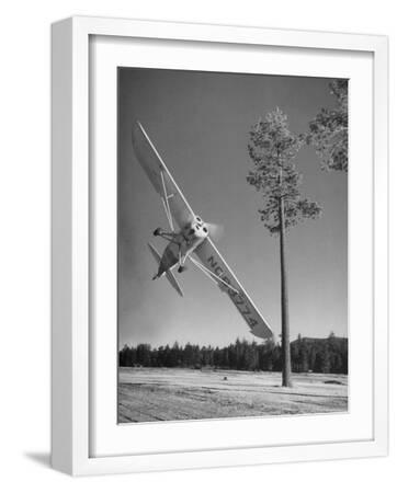 'Pilot Sammy Mason Flying around a Tree During a Performance of His ...