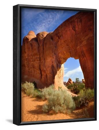 'Pine Tree Arch in Arches National Park' Photographic Print - Steve ...