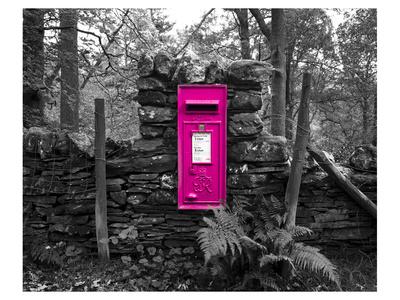 'Pink Forest Post Box Cumbria' Premium Giclee Print | AllPosters.com
