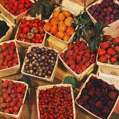 '"Pints of Fruit and Berries,"July 1, 1949' Giclee Print - J.c. Allen ...