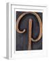 'Ornamental Letter P - Script Font - Isolated Letterpress Wood Type ...